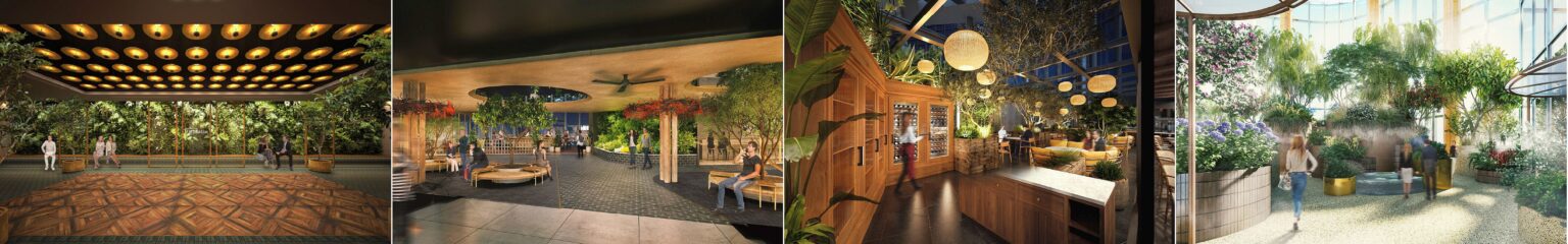 ニュウマン高輪,2025年9月12日オープン,サウスノース,エリア,ルフトバウム,明治屋,成城石井,無印良品,,MIMURE,